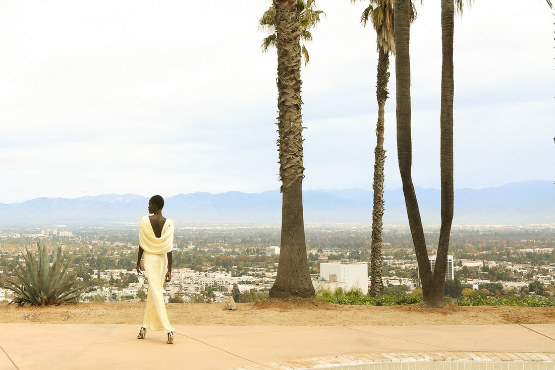 Dress Rentals in Raleigh, Cary & Online | TrenLend